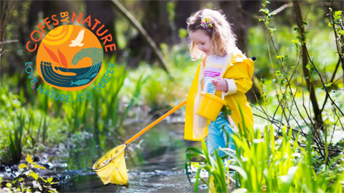 Hide-n-Seek - Water bugs Website title