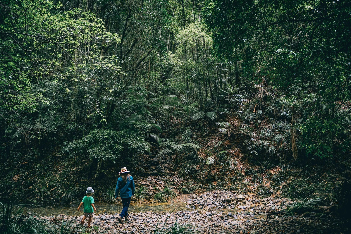 Coramba Rainforest & Orara River Guided Tour Website title